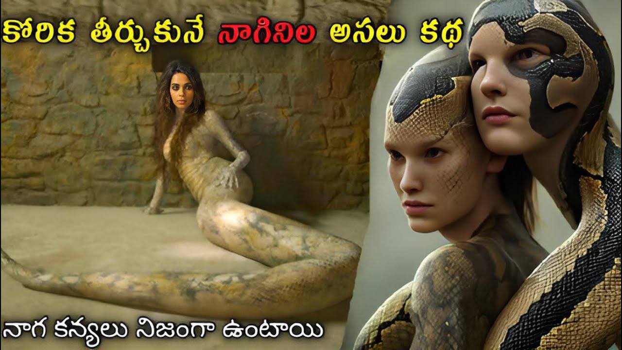 కోరికలు తీర్చుకునే నాగినీల అసలు కథ real story of ichhadhari nagini in Telugu#nagin #nagintemple ...