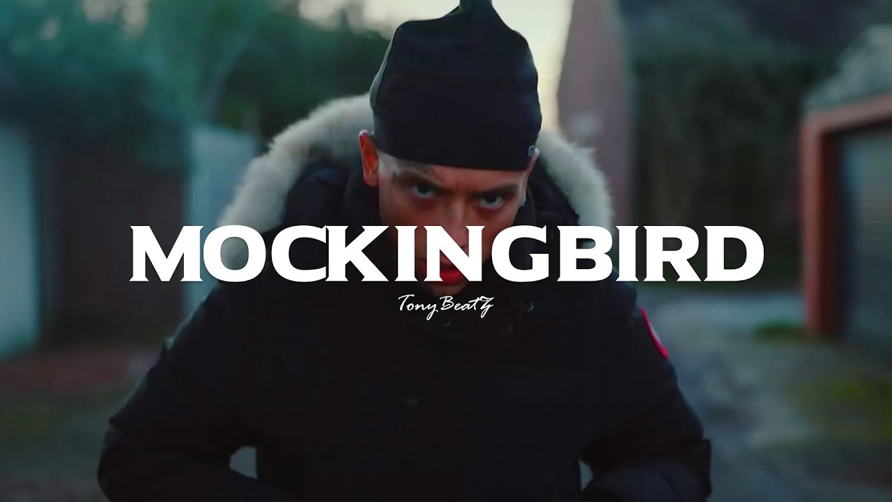 [FREE] Central Cee Sample Drill Type Beat "Mockingbird" - Melodic / Sad ...