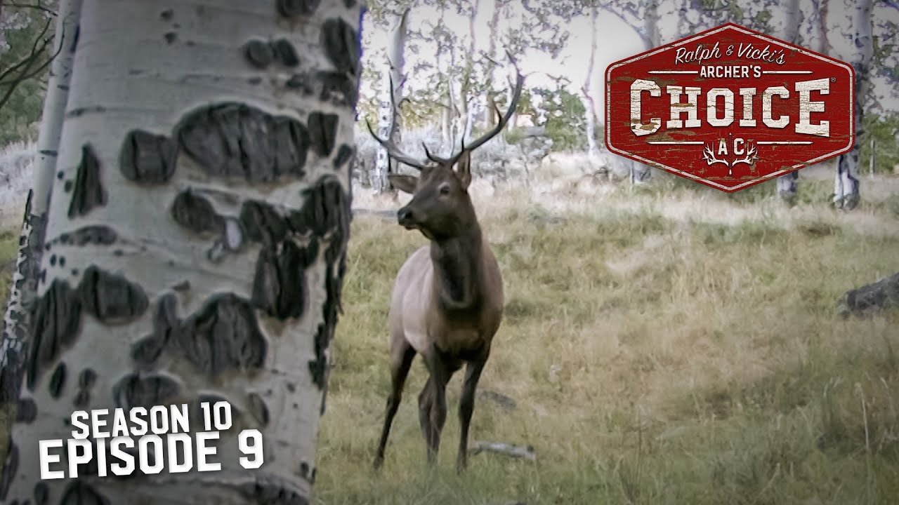 WINTERHAWK WAPIT - Archer’s Choice (Full Episode) // S10: Episode 9 - YouTube