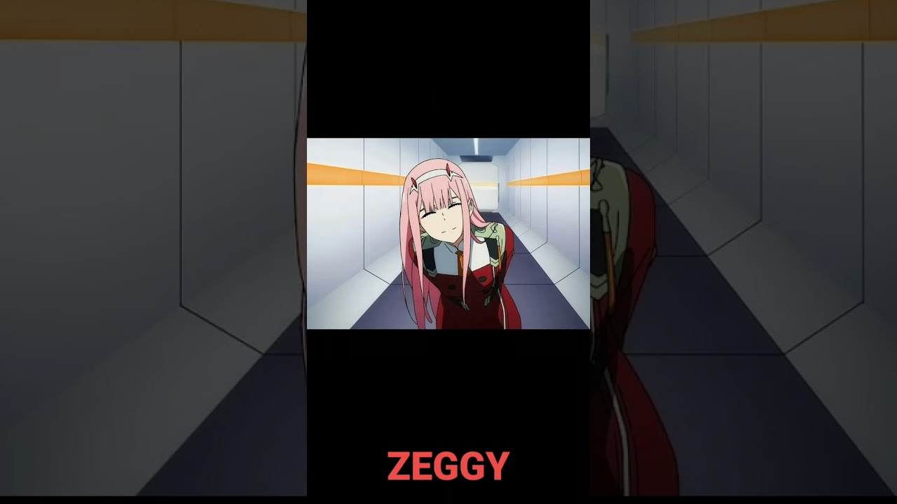 Pmv Youtube