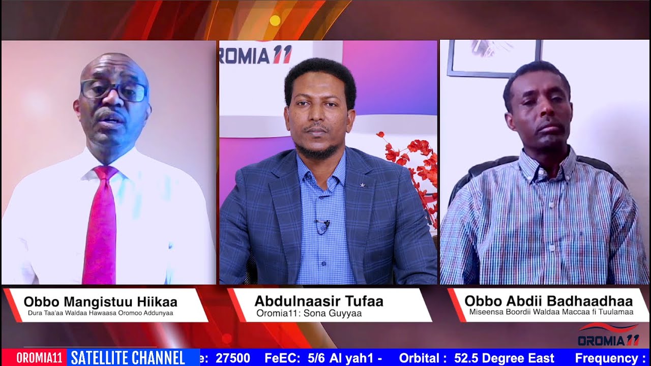OROMIA11: Ummata Oromoo Wallo gargaaruuf ummanni Oromoo maal godhuu ...