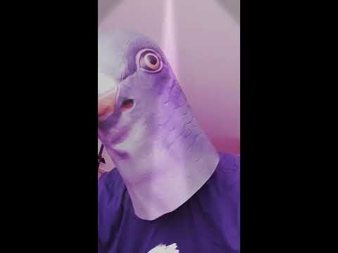Mr. Pigeon - Pokémon Sun and Moon ED 1 (Pose cover)