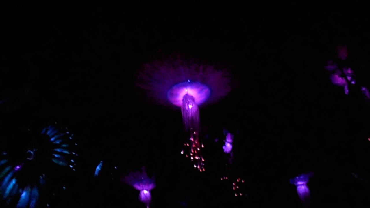 Disney Animal Kingdom Avatar Pandora Boat Ride - YouTube