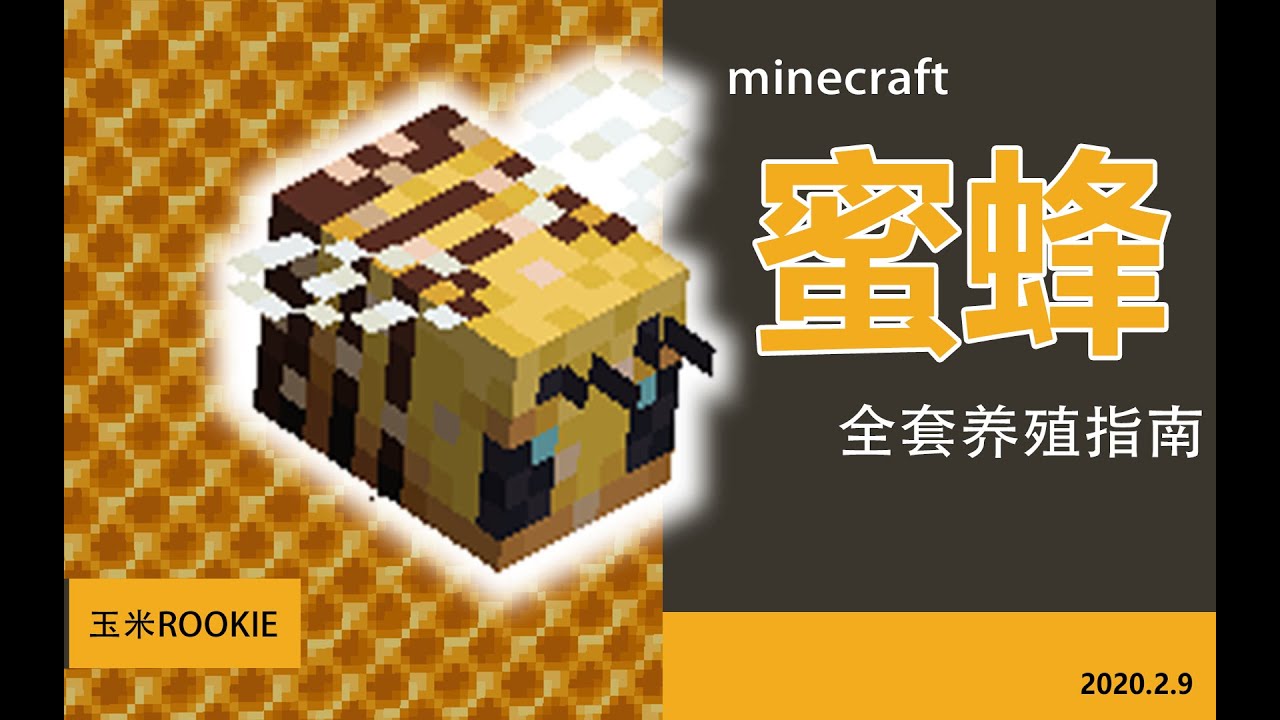 Minecraft Beekeeping Guide蜜蜂养殖指南 - YouTube