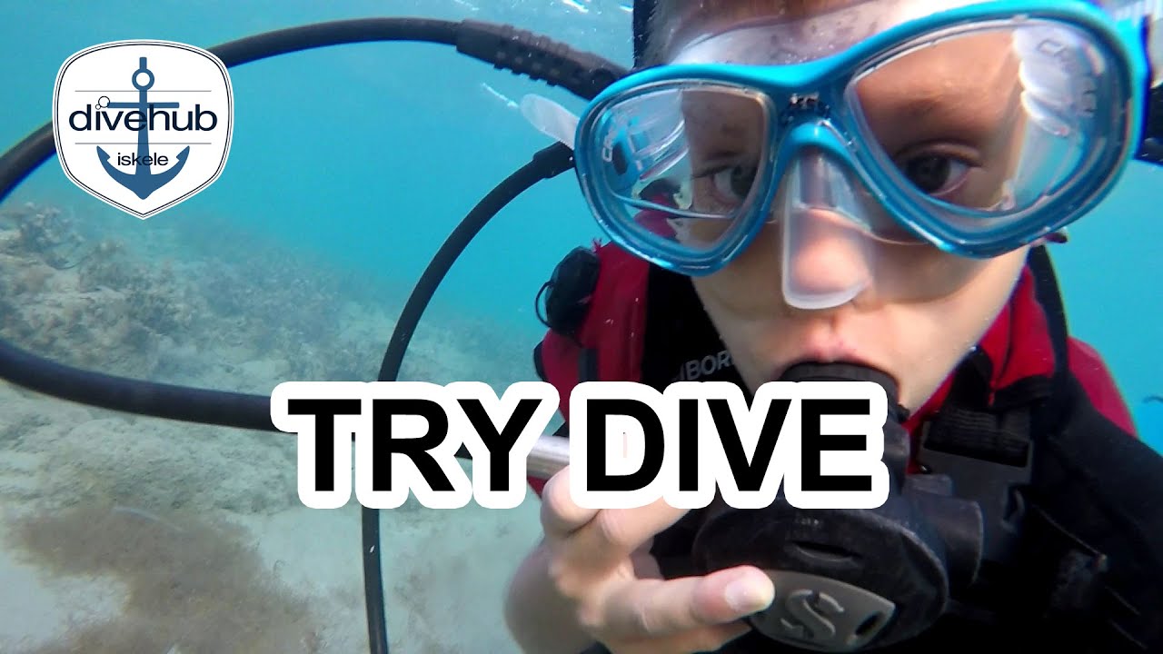 Try Dive with Dive Hub - YouTube