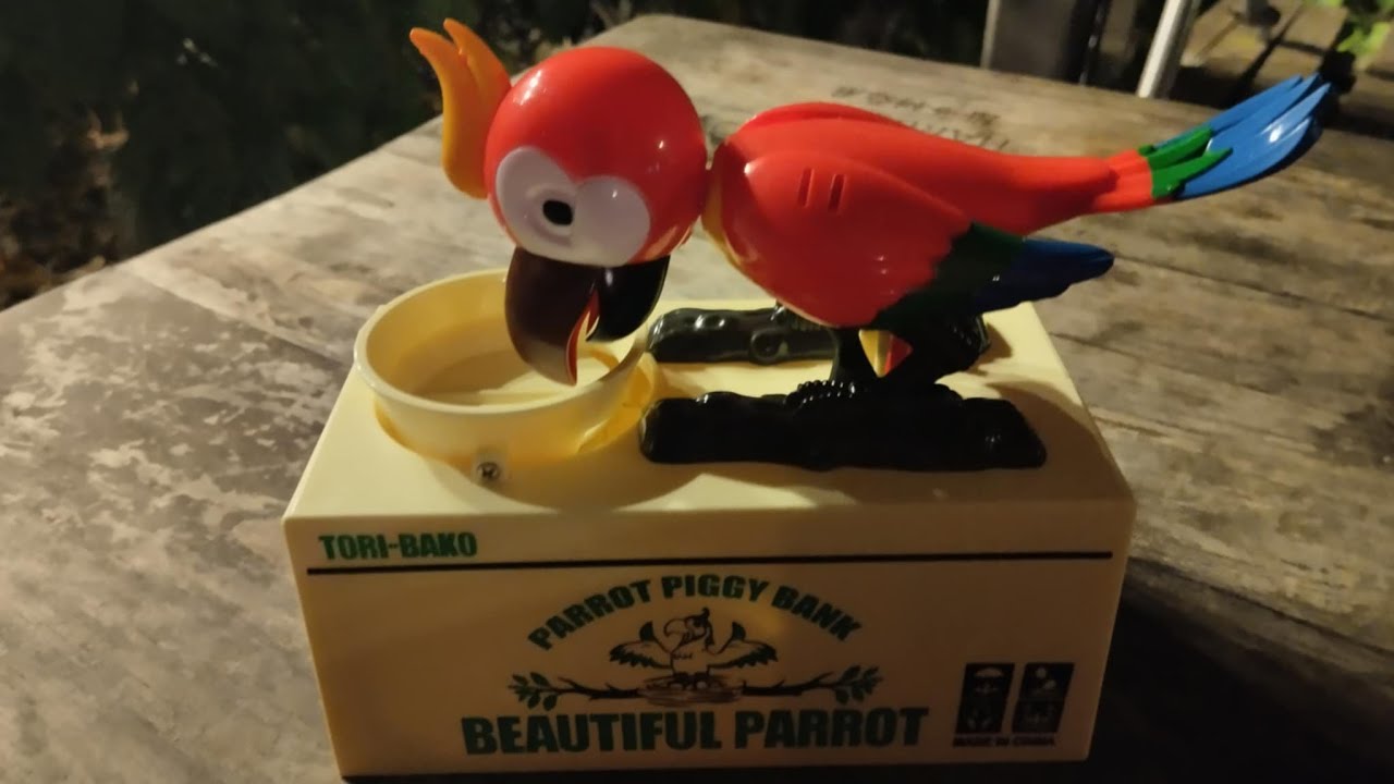 Parrot Enjoy of Playing Coins #ASMR #TRENDING - YouTube