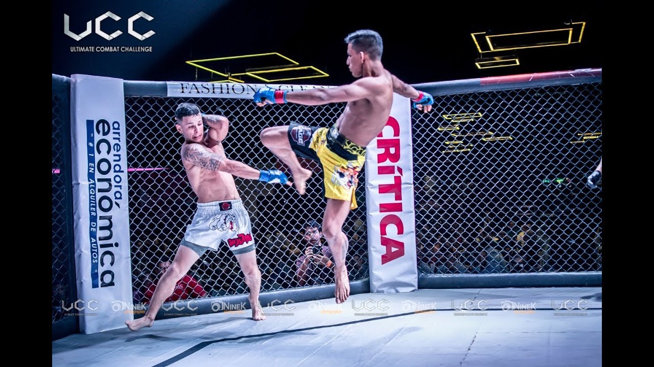 MMA - SUBMISSION WIN GREAT PERFORMANCE MMA FIGHT. Latin America MMA ...