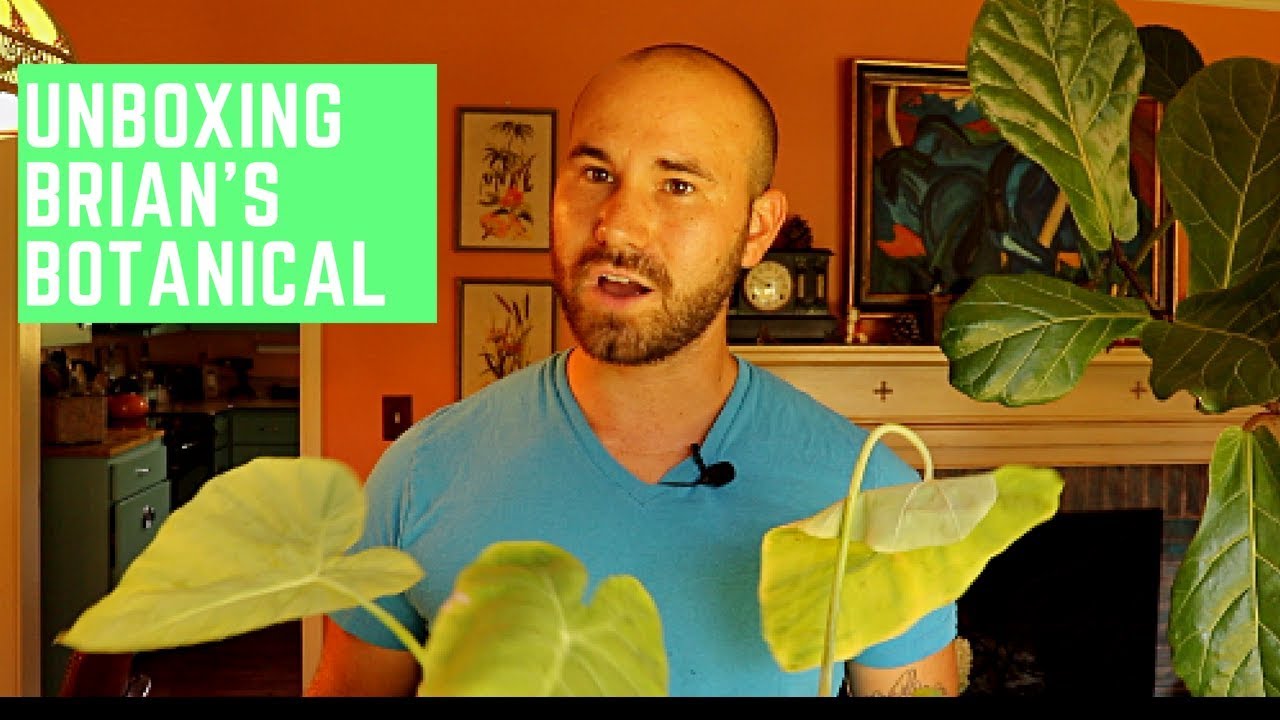 Brian's Botanical Unboxing 🌿📦/ Colorful Gardener - YouTube