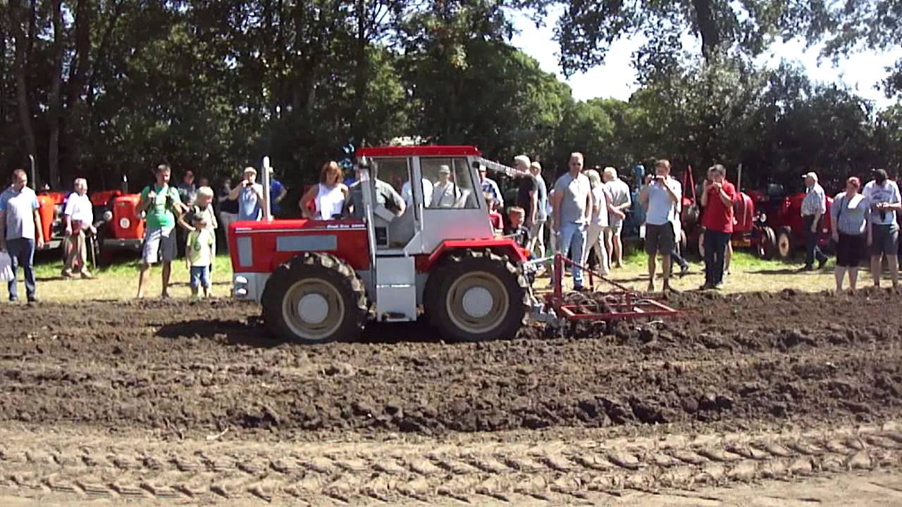 Schlüter Profi Trac 3000 TVL Schlepper Traktor Model auf den ...