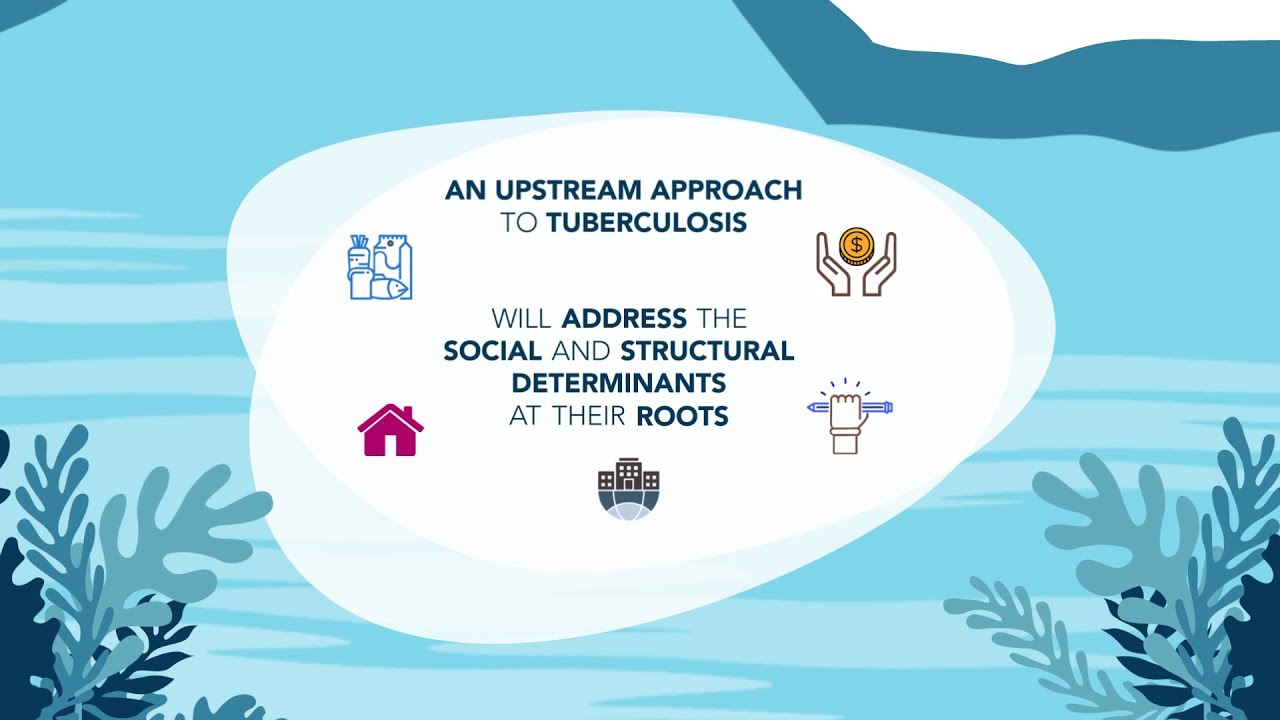 Social Determinants and the Tuberculosis (TB) Journey in Northern First ...
