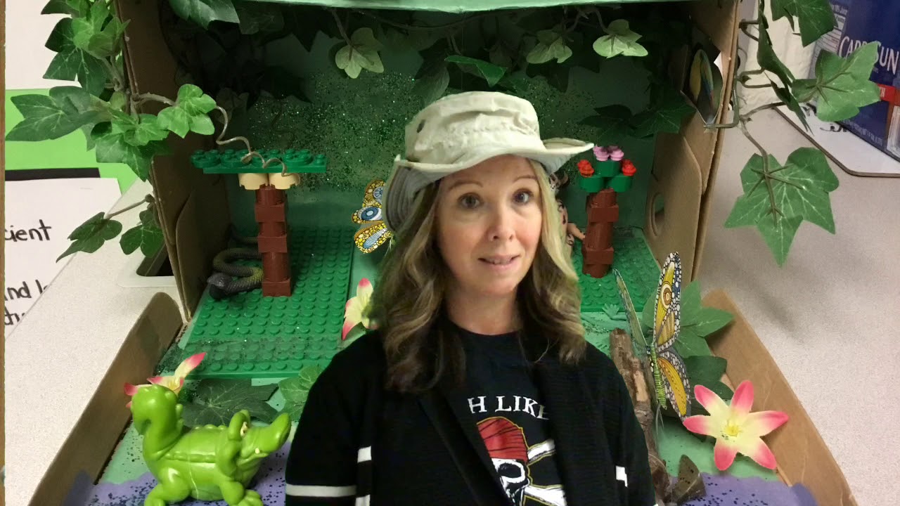 Third Grade Virtual Learning Day Project Explanation - YouTube