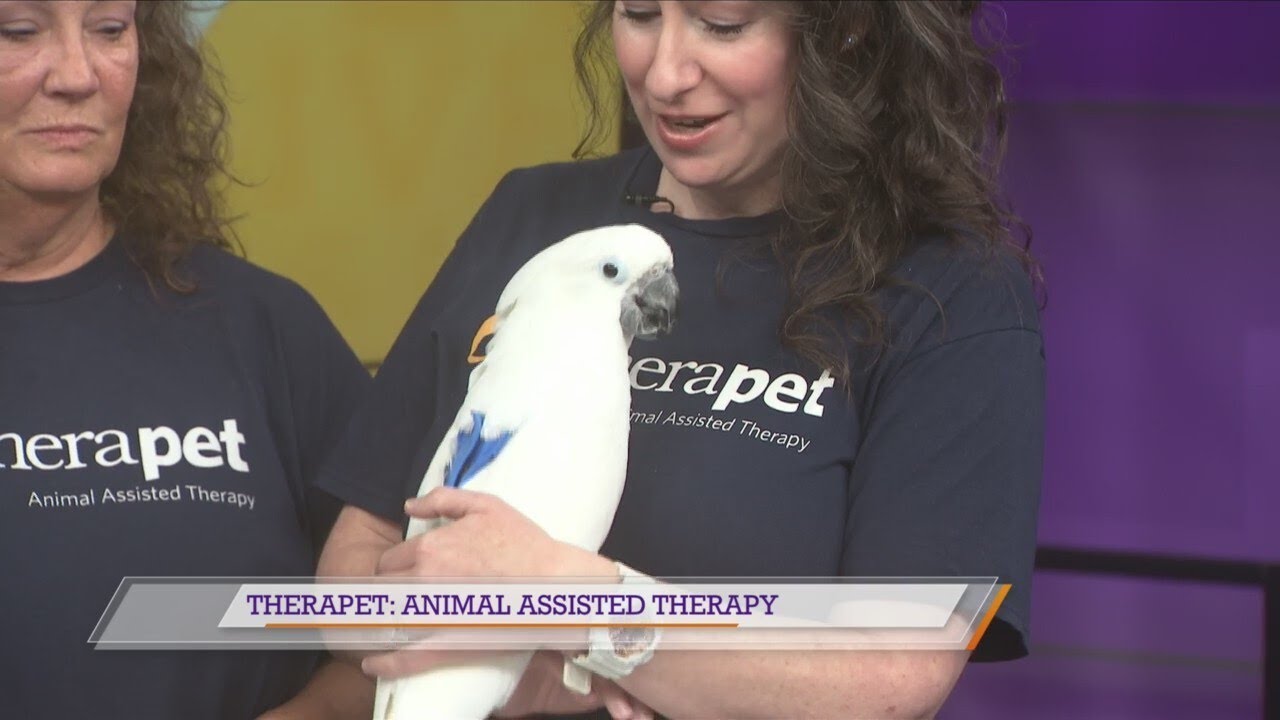 Therapet: Animal Assisted Therapy - YouTube