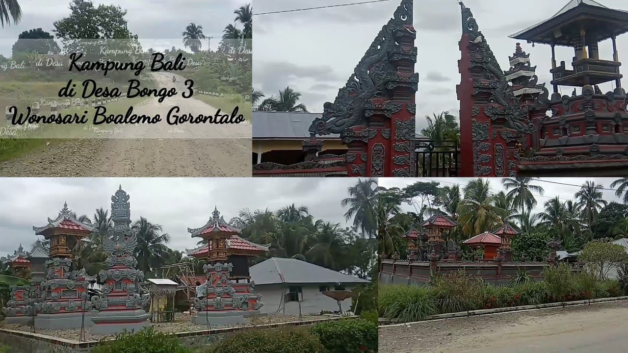 Ada Kampung Bali di Desa Bongo 3 Wonosari Boalemo Gorontalo - YouTube