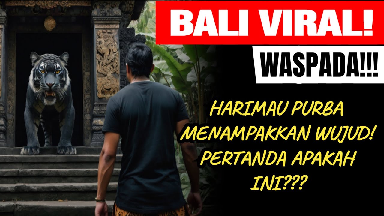 BALI VIRAL ⛔️ ARTI DIBALIK MUNCULNYA HARIMAU HITAM DI BALI - YouTube
