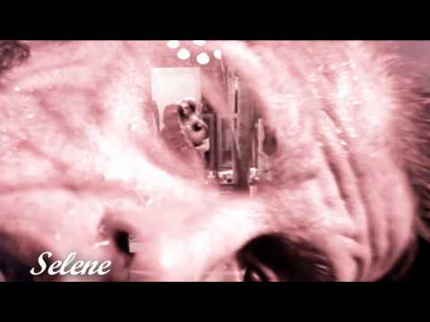 # 3. Sad vampire stories {finished}