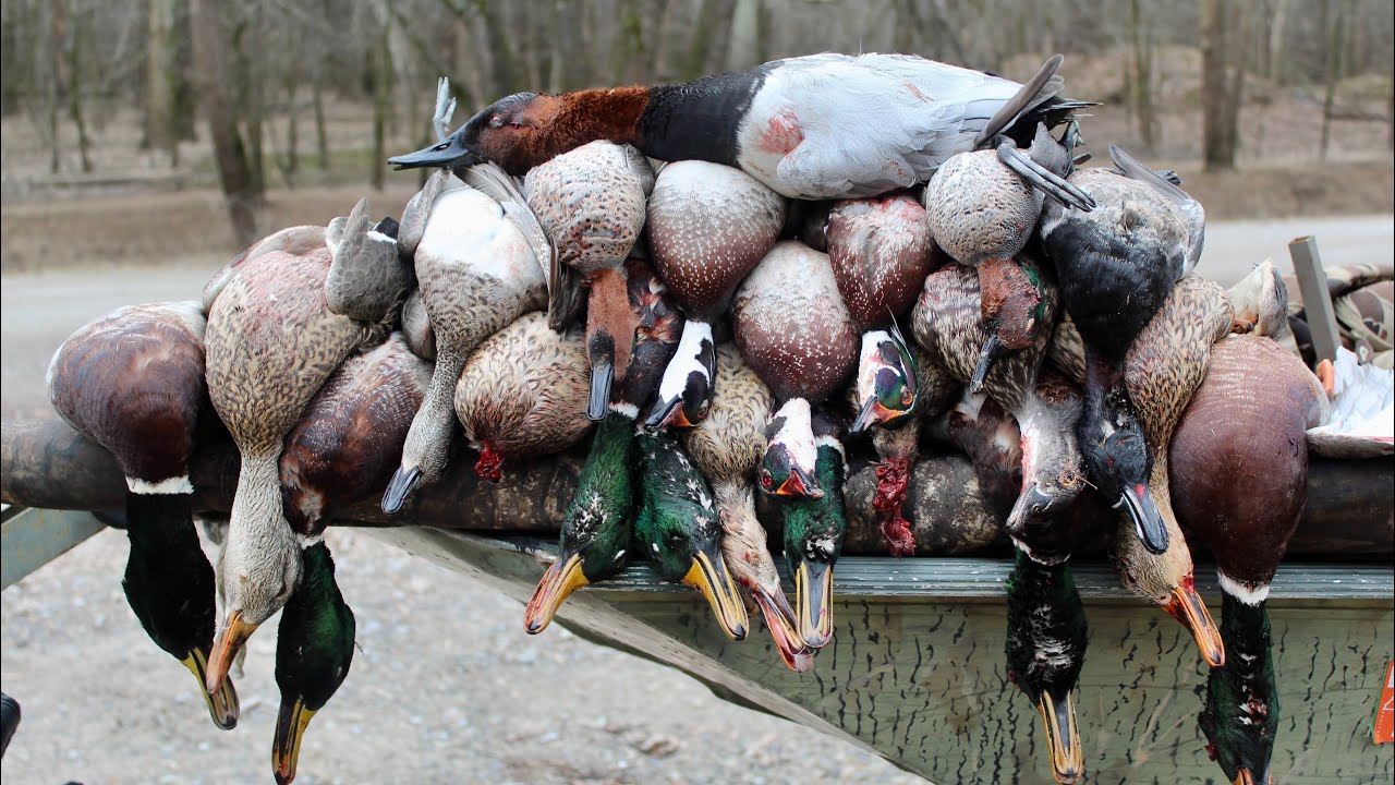 Duck Hunting: The last Week 4 Man Limit - YouTube