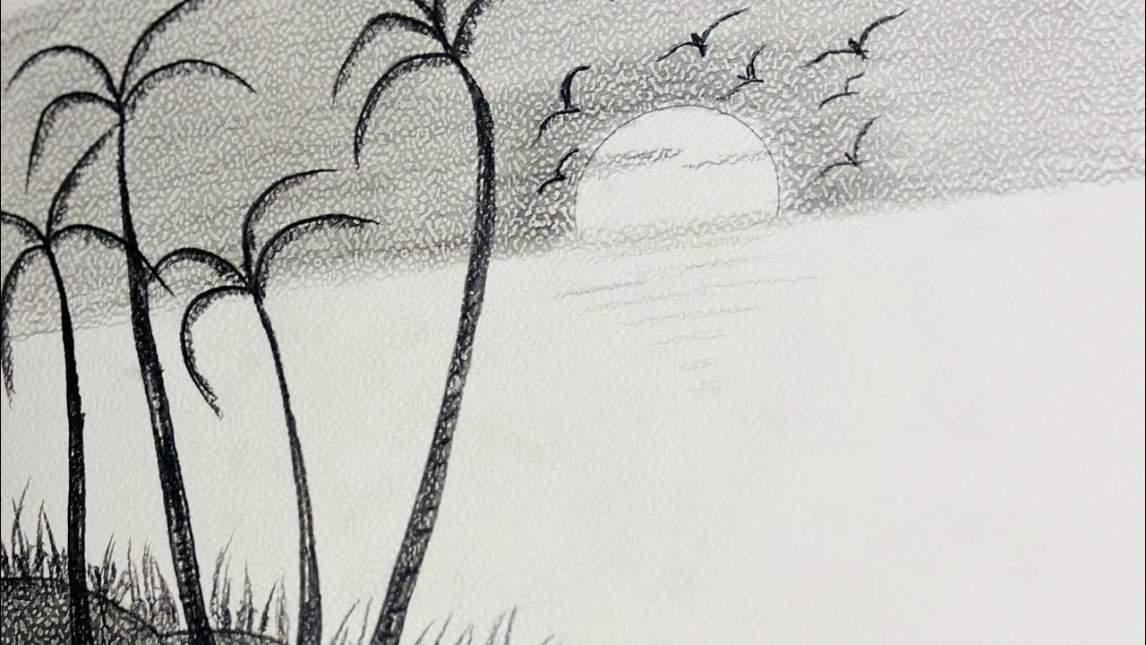 Pencil Sketch Of Sunset! Easy Pencil Drawing Tree Birds Sunset! - YouTube