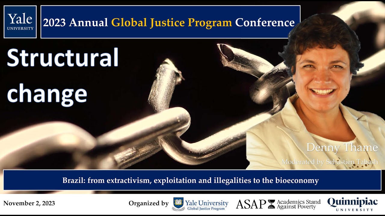 Denny Thame on Brazil: from extractivism, exploitation and illegalities ...