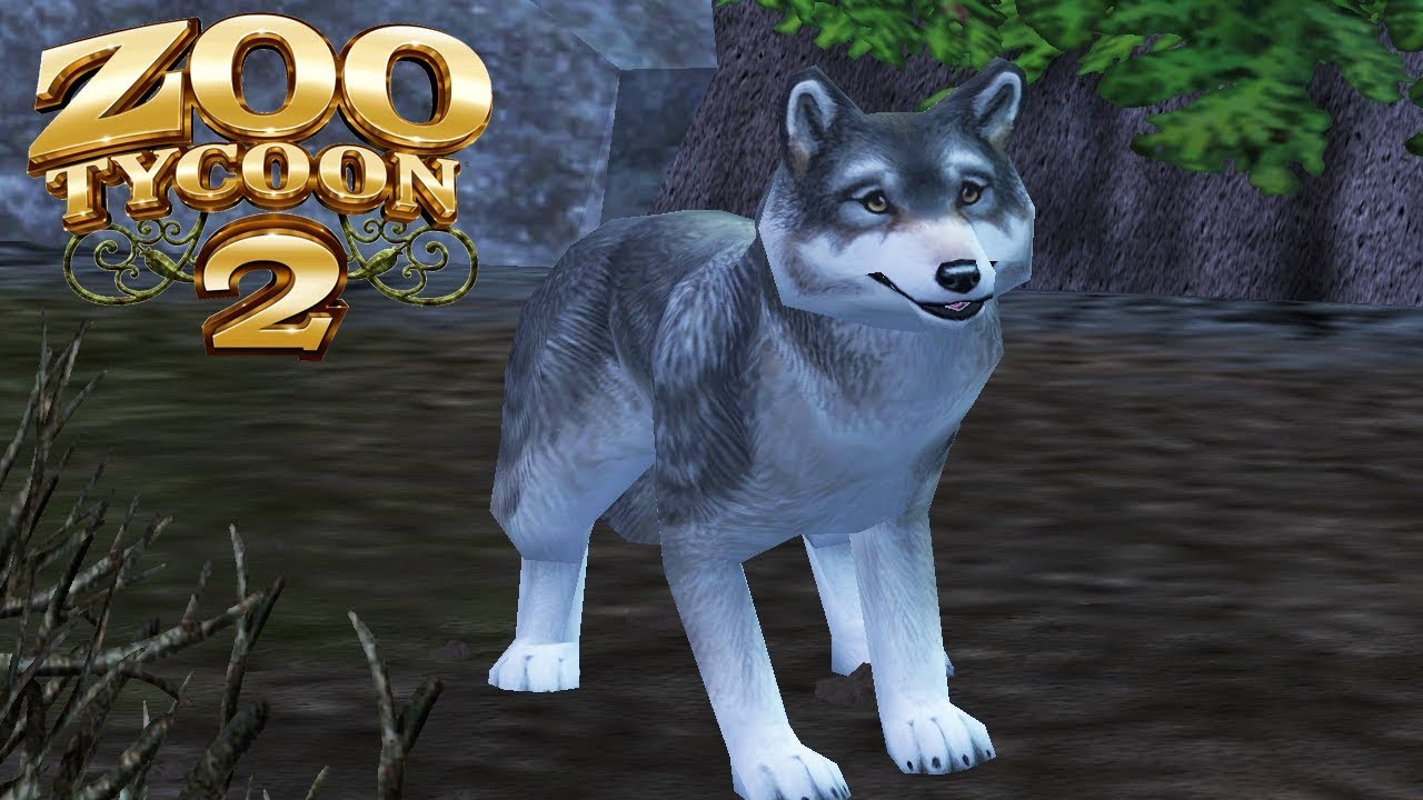 Eastern Timber Wolf 🐺//Exhibit Build//Zoo Tycoon 2 - YouTube
