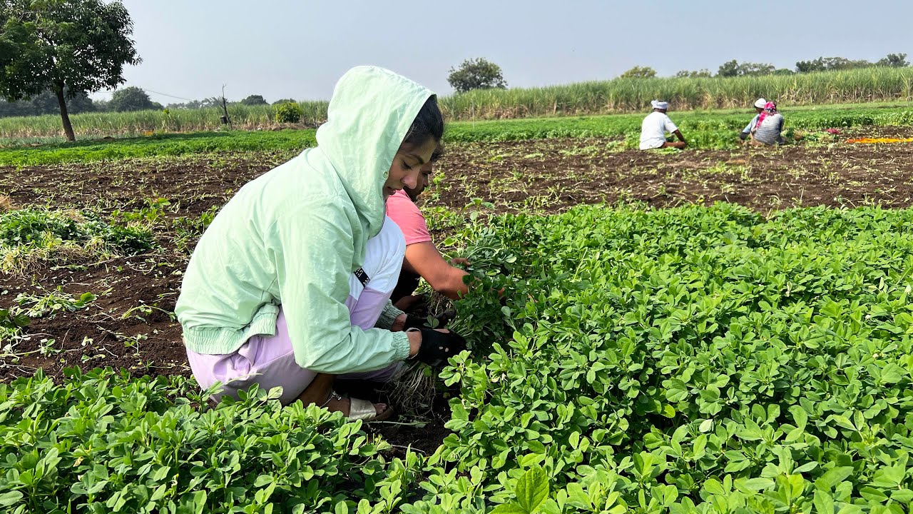 Chalo ek din kheti karate hai | farm experience and Reaction of farmers ...
