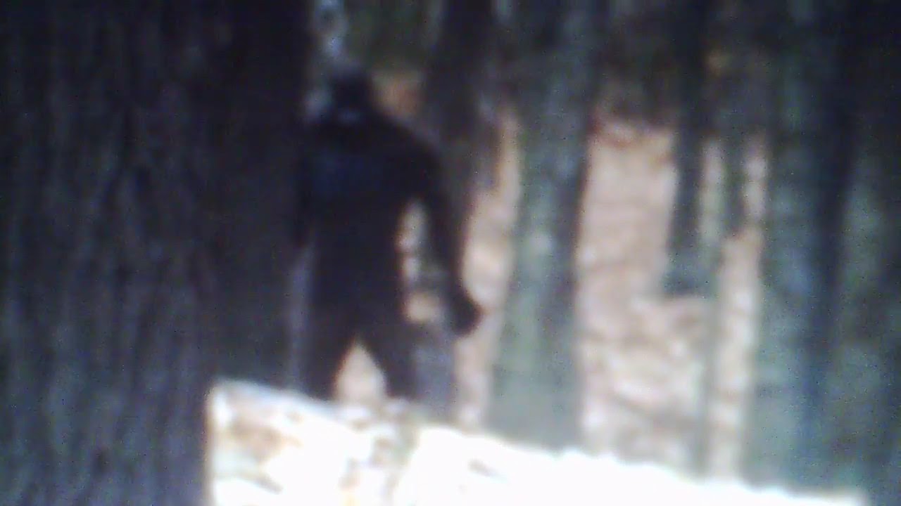 CASCADE MOUNTAIN BIGFOOT - YouTube