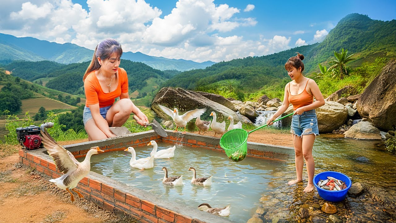 Building a Swimming Pool for Geese | Collecting Fishing Nets & Cooking ...