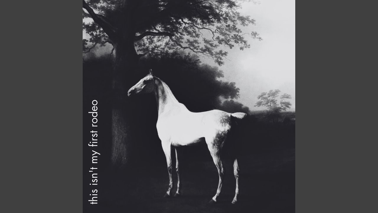 wretchedly timid - YouTube