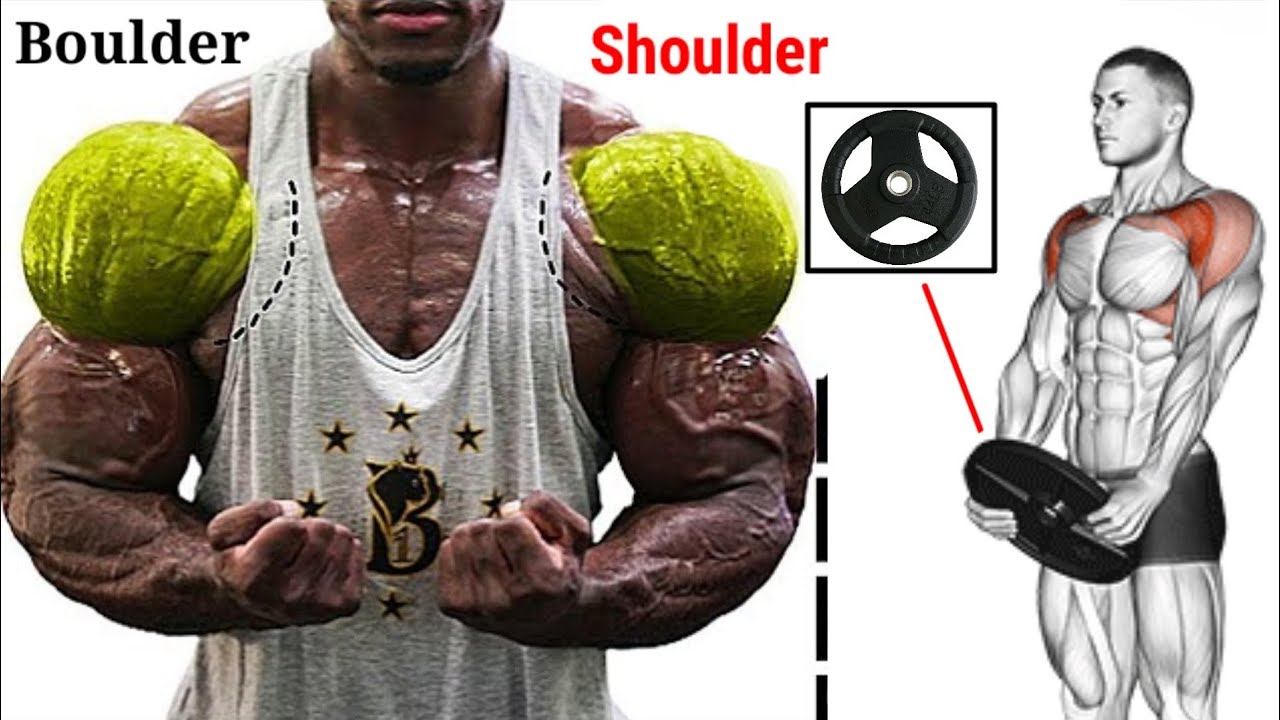 Weight Plate SHOULDER Workout Barbell Plate Weight | Weight Plate ...