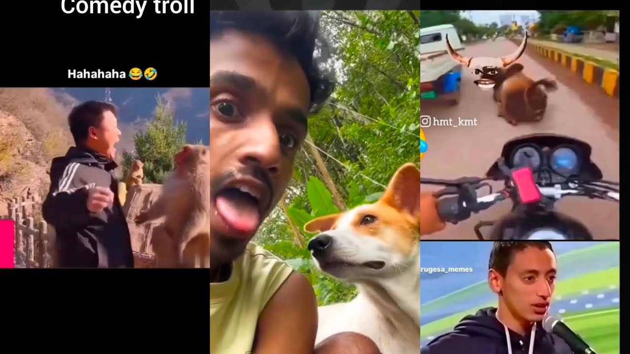 Tamil comedy troll 🤣 || stress buster 😝 || #youtube #youtubevideo - YouTube