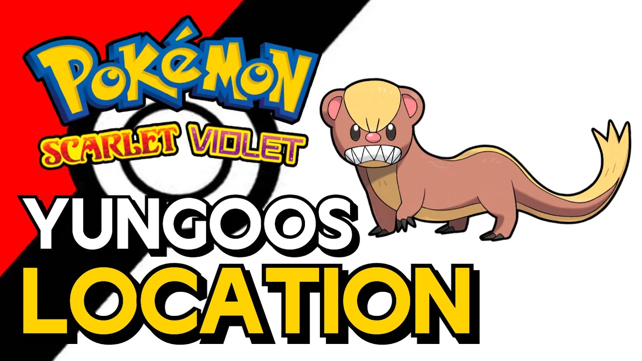 Pokemon Scarlet & Violet - Yungoos Location - YouTube