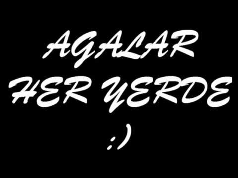 Ahmet Aga PVP Montaj