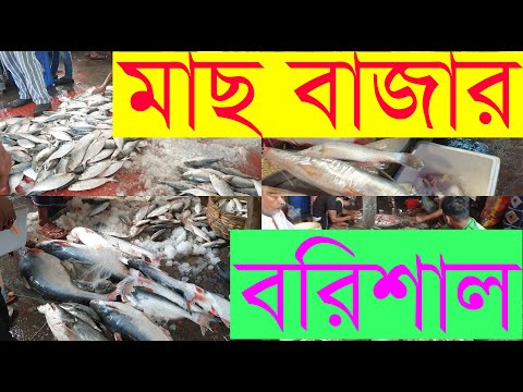 Barishal Hilsha Fish Market |  Port Road Fish Market | Port Road Barishal | Barishal Port Road |