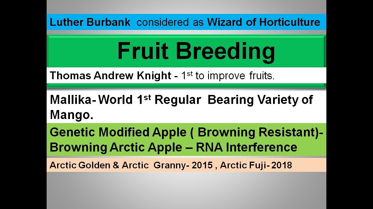 Fruit Breeding - YouTube