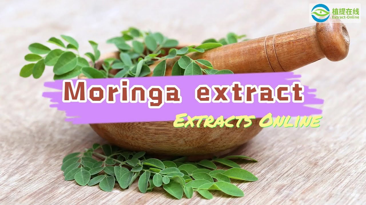 The Benefits of Moringa | Miracle Tree - YouTube