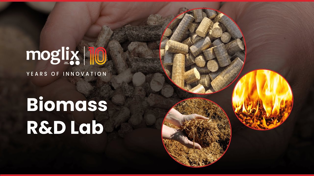 Ensuring Biomass Quality for a Clean Energy Future | Moglix Business ...