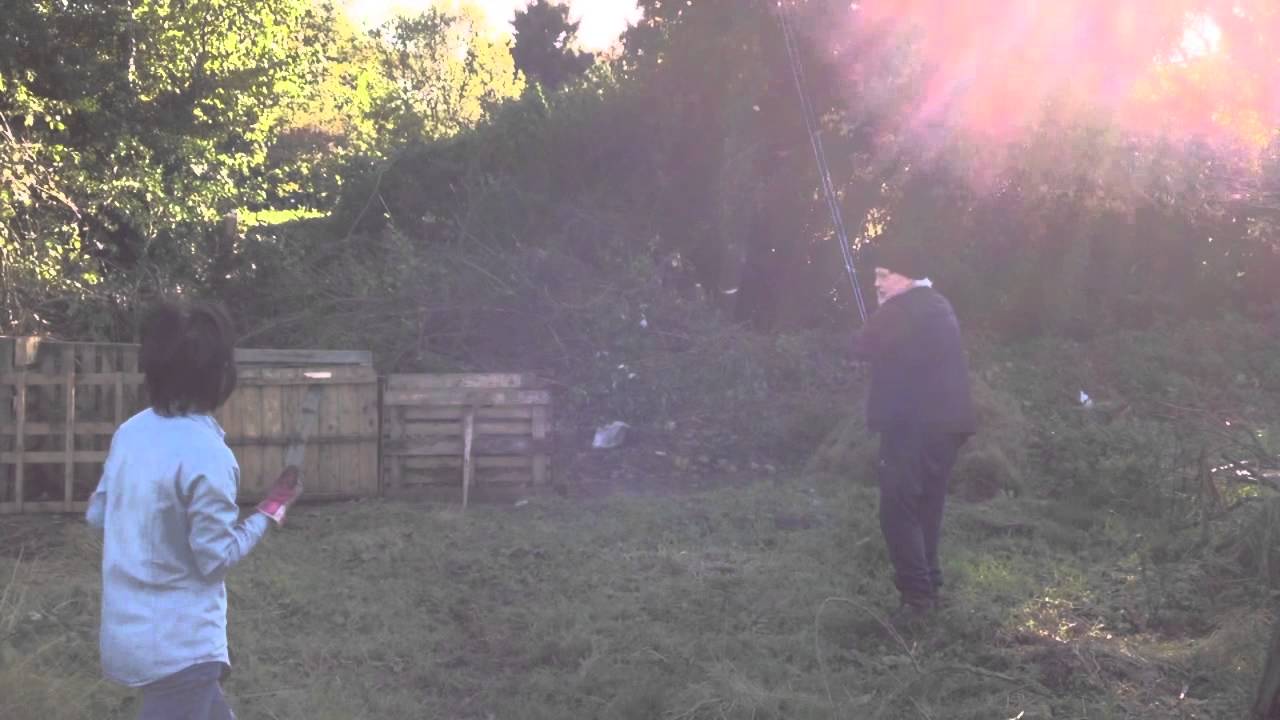 Pulling a massive tree down with a rope. - YouTube