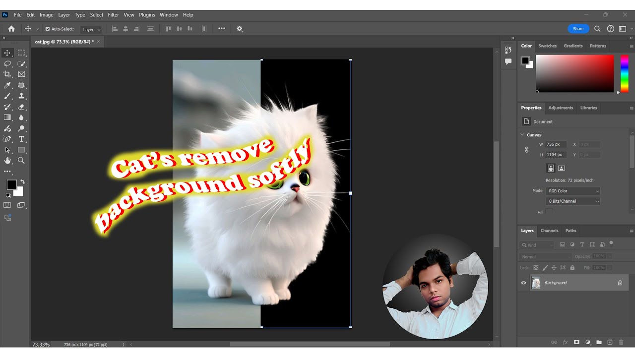 How to remove a cat's background in Photoshop || Easy Way to Remove ...