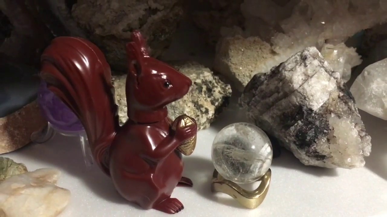 Squirrel Jam - YouTube