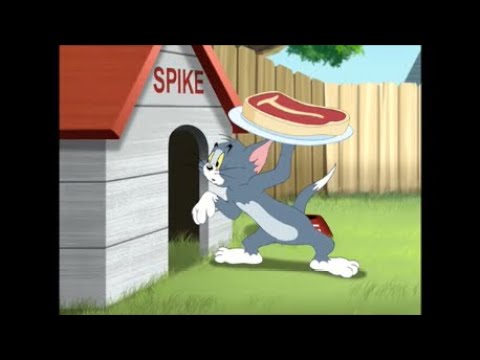 Tom and Jerry Tales - The Cat Whisperer with Casper Lombardo (2007)