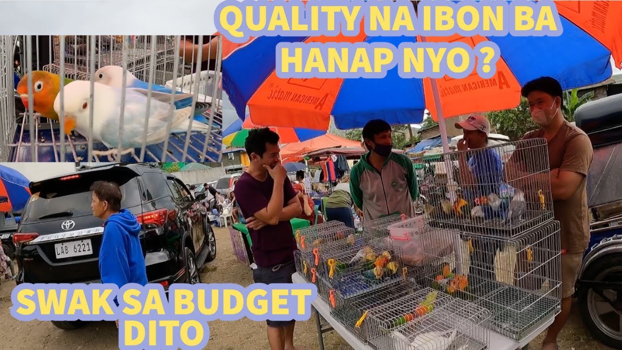 PASOK SA BUDGET NA ASO AT IBON ANG BENTAHAN DITO - YouTube