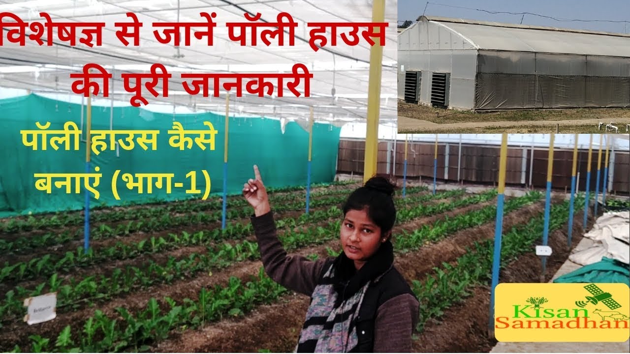 विशेषज्ञ से जानें पॉली हाउस की पूरी जानकारी | पॉली हाउस कैसे बनाये (भाग ...