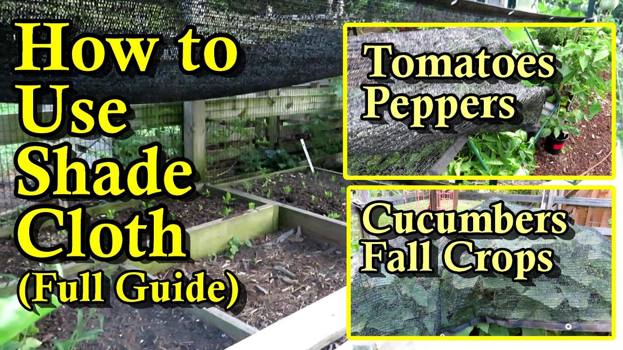 A Garden Shade Cloth Plant Saving Guide (Tomatoes, Peppers, Cucumbers ...