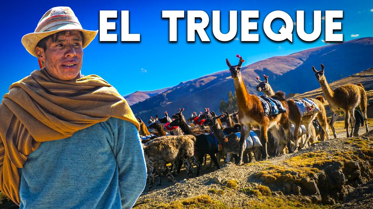 El hombre andino y sus llamas de carga, el trueque ancestral en ...