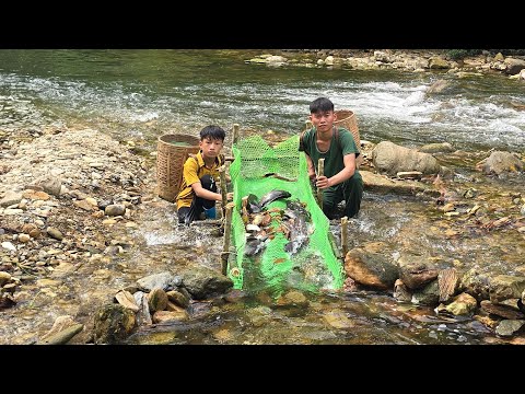 Highland boy traditional fish trapping methods, harvested 30 kg of stream fish and catfish to sell.