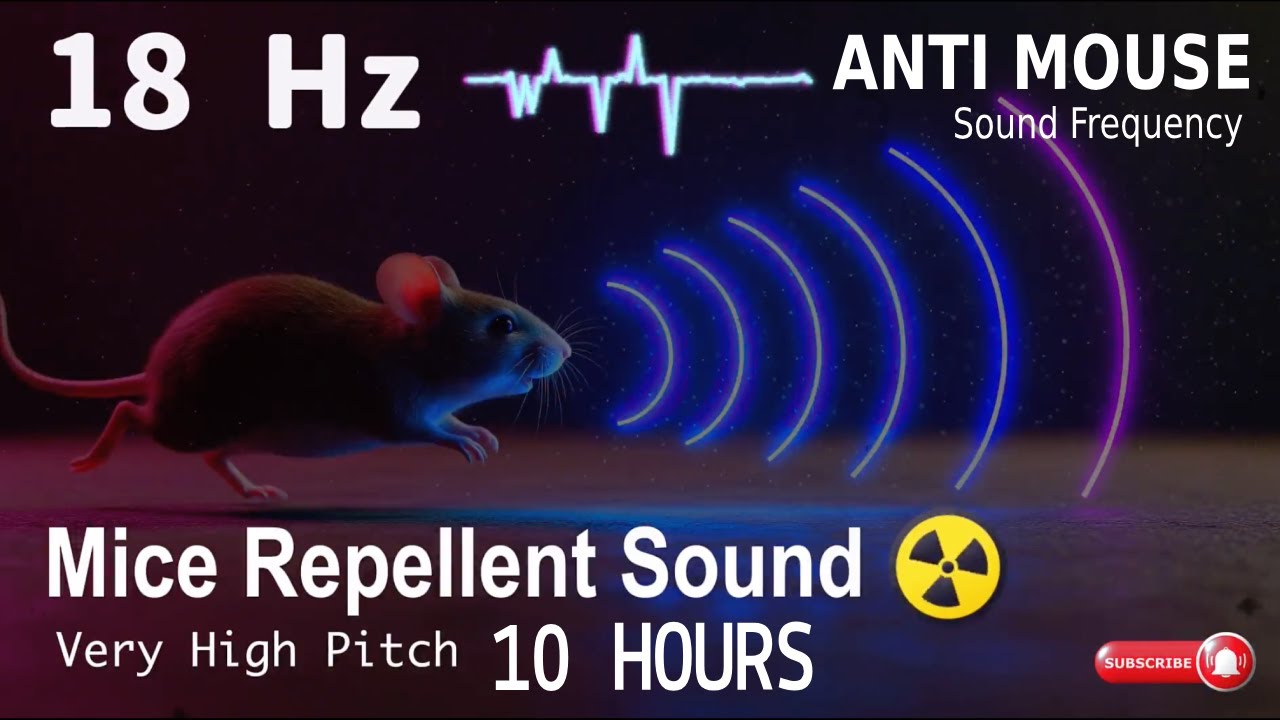 Ultrasonic Sound Mice Won’t Come Back Again! 🐭🔊🚫 | Permanent Mouse ...