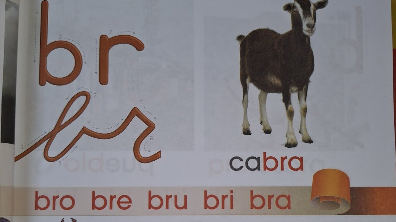 Libro primero de lectura y escritura VICTORIA sílabas bro_bre_bru_bri ...