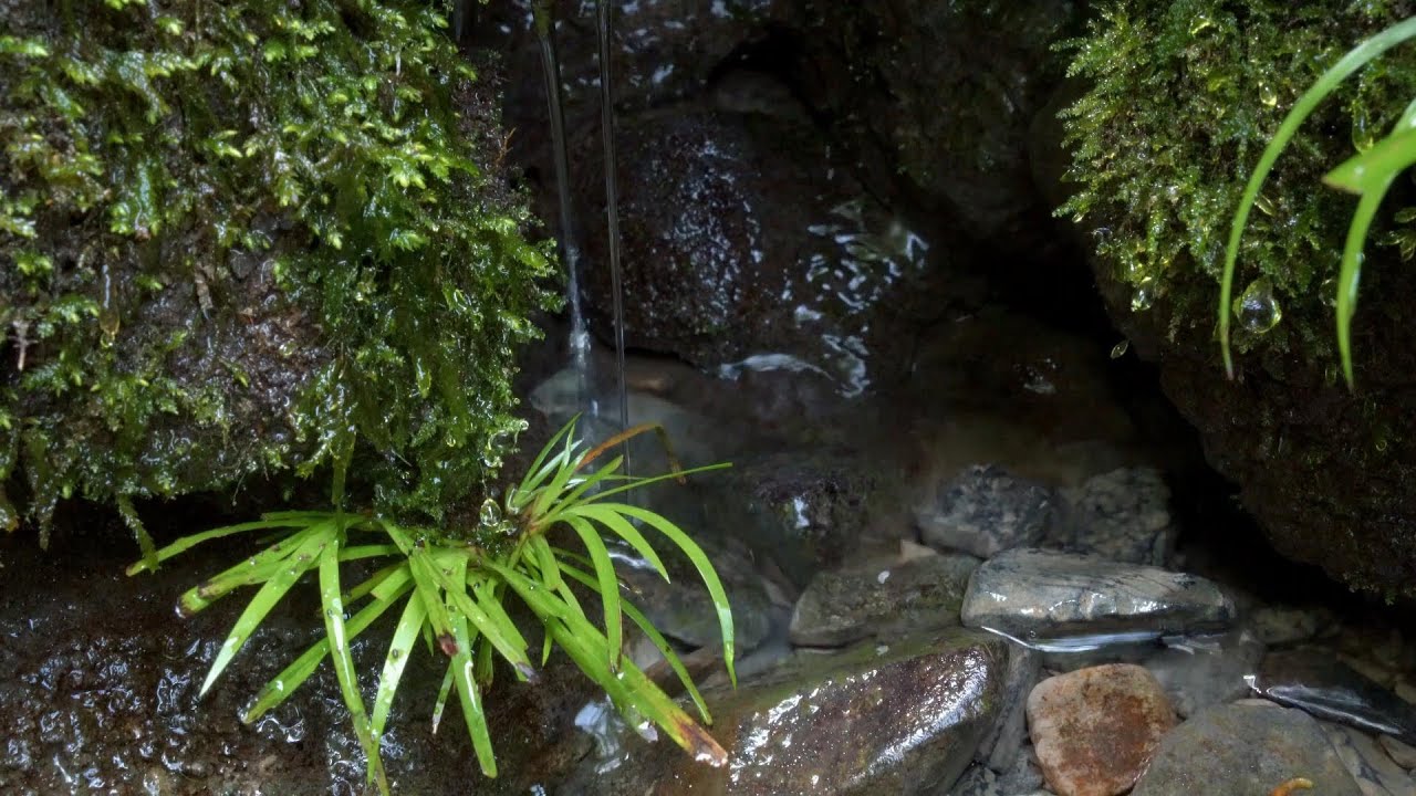 #Green spring water and the sound of slowly flowing water help you fall ...
