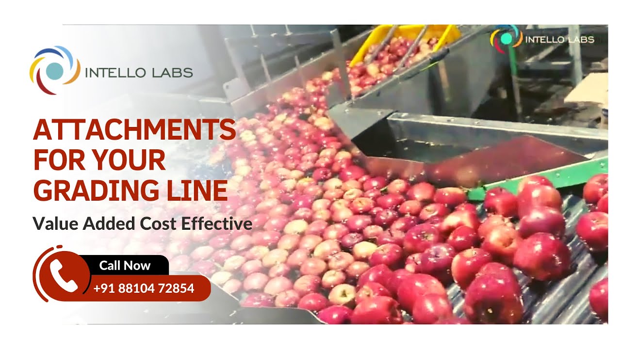 Intello Labs' Value-Added, Cost-Effective Sorting Machine. - YouTube