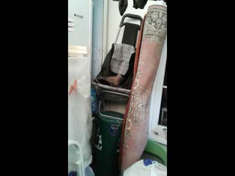 Ne tatlı şeysin