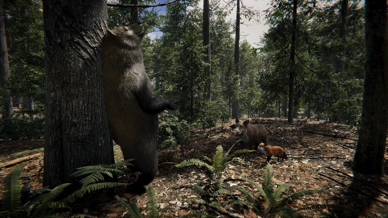 First Look at the upcoming Realistic Bear from Malbers Animations - YouTube